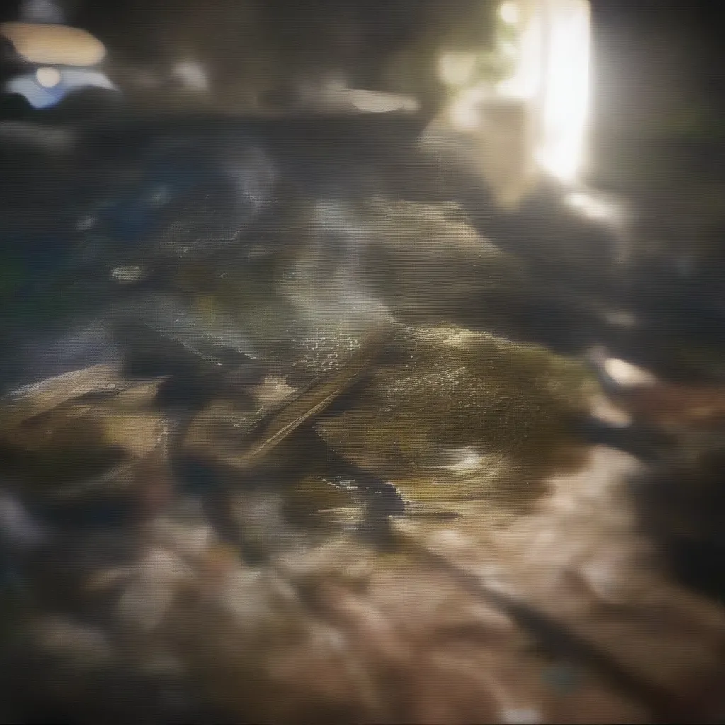 A Comprehensive Guide to Renting Out Your House