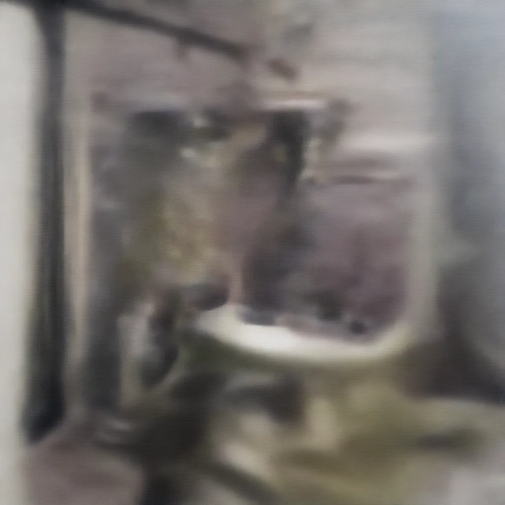 Understanding Toilet Backups: Causes and Solutions